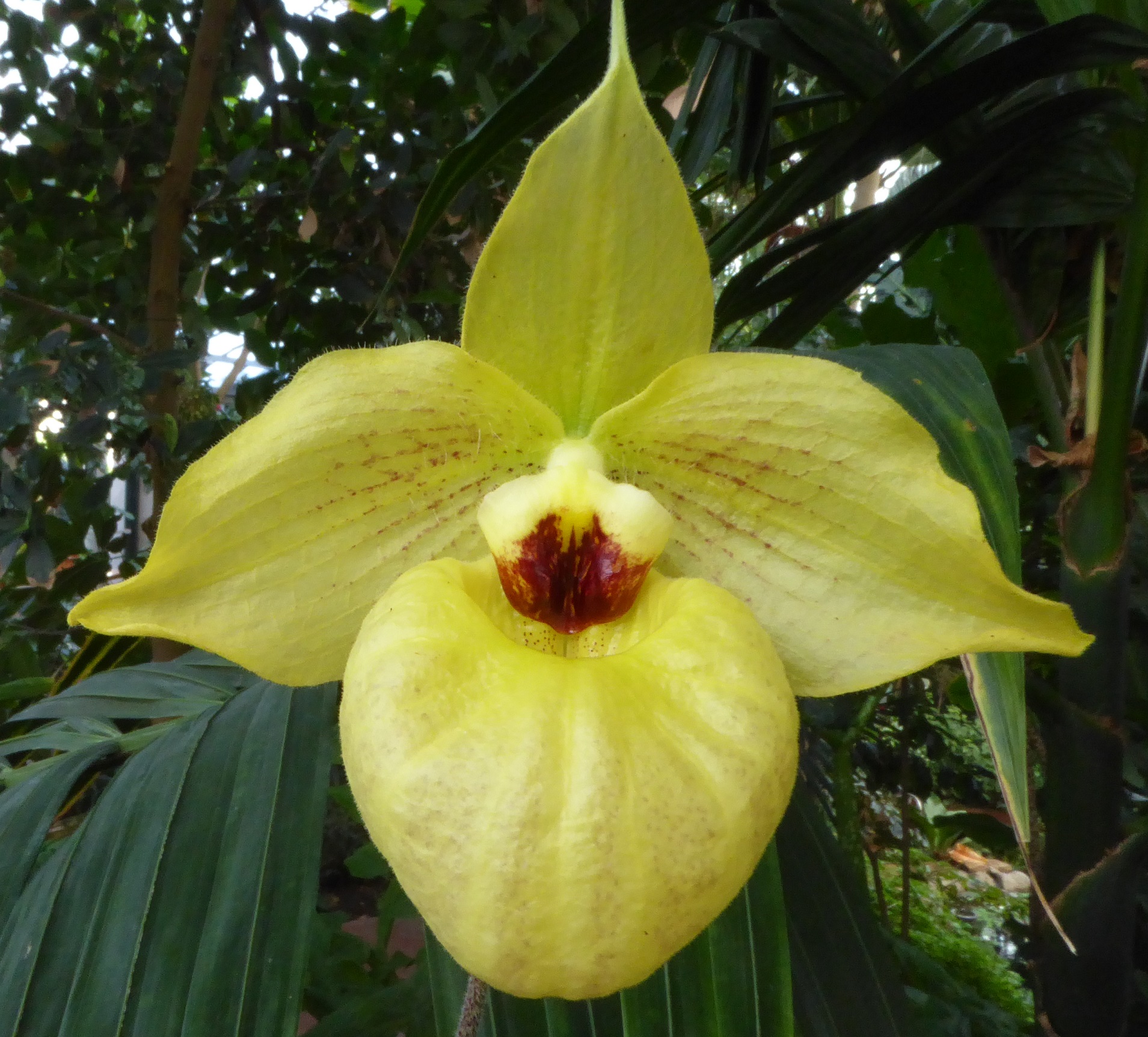 The Huntington Library ….that is, parts thereof – ziggyseamstress